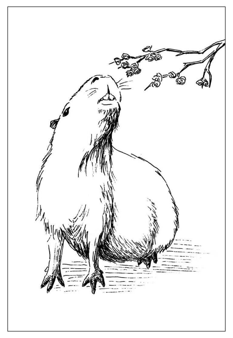 Desenhos de Capivara para Colorir e Imprimir - Tudo Para Colorir