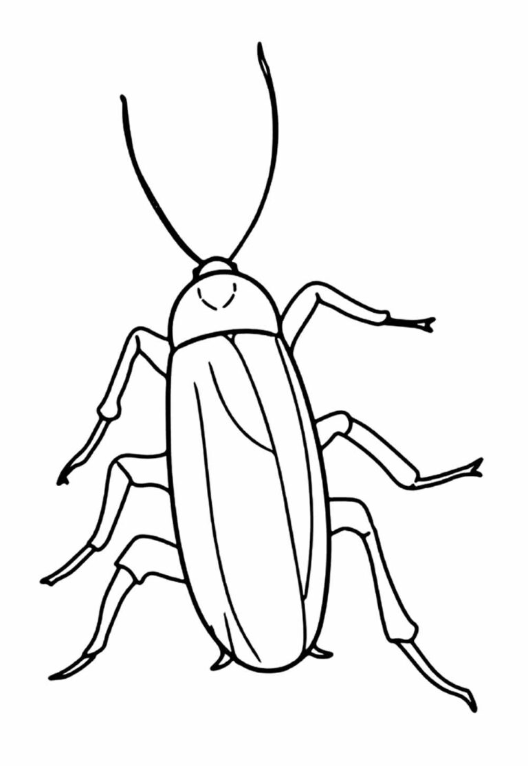 Desenhos de Barata para Colorir e Pintar - Tudo Para Colorir