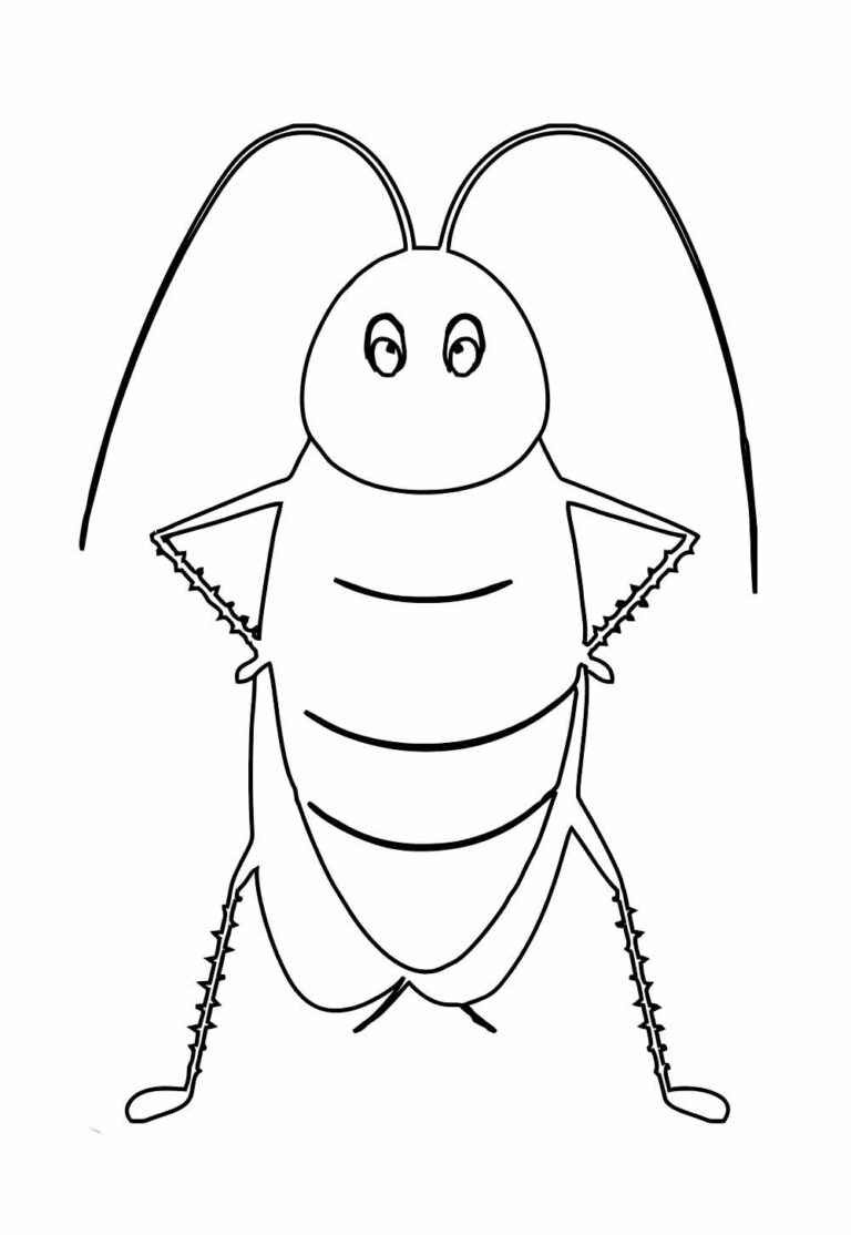 Desenhos de Barata para Colorir e Pintar - Tudo Para Colorir