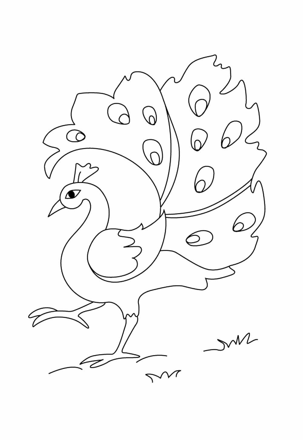 Desenhos de Pavão para Colorir e Pintar - Tudo Para Colorir