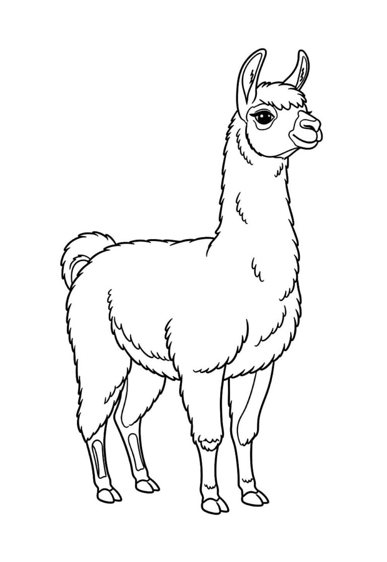 Desenhos de Lhama para Colorir e Pintar - Tudo Para Colorir